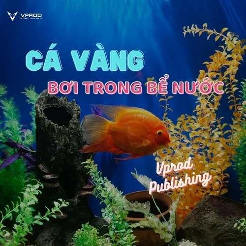 Cгў Vг Ng Bжўi Trong Bб ѓ Nж б C Tam Vinh Producer Vprod Publishing Viб T