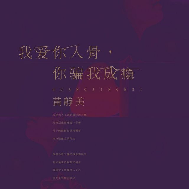我爱你入骨，你骗我成瘾 - Hoàng Tĩnh Mỹ (Huang Jing Mei) - tải mp3|lời bài hát ...