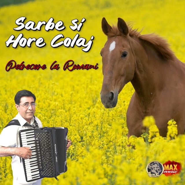 Hore Si Sarbe Oltenesti 2023 Muzica Populara 2023 - Petrecere la Romani ...