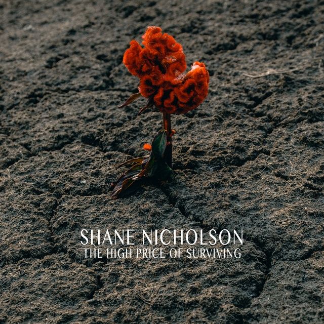 The High Price Of Surviving - Shane Nicholson - tải mp3|lời bài hát ...